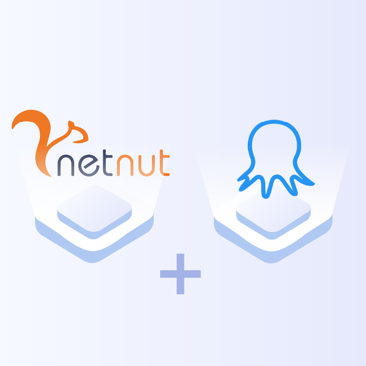 How To Set-Up NetNut Proxy on Octoparse