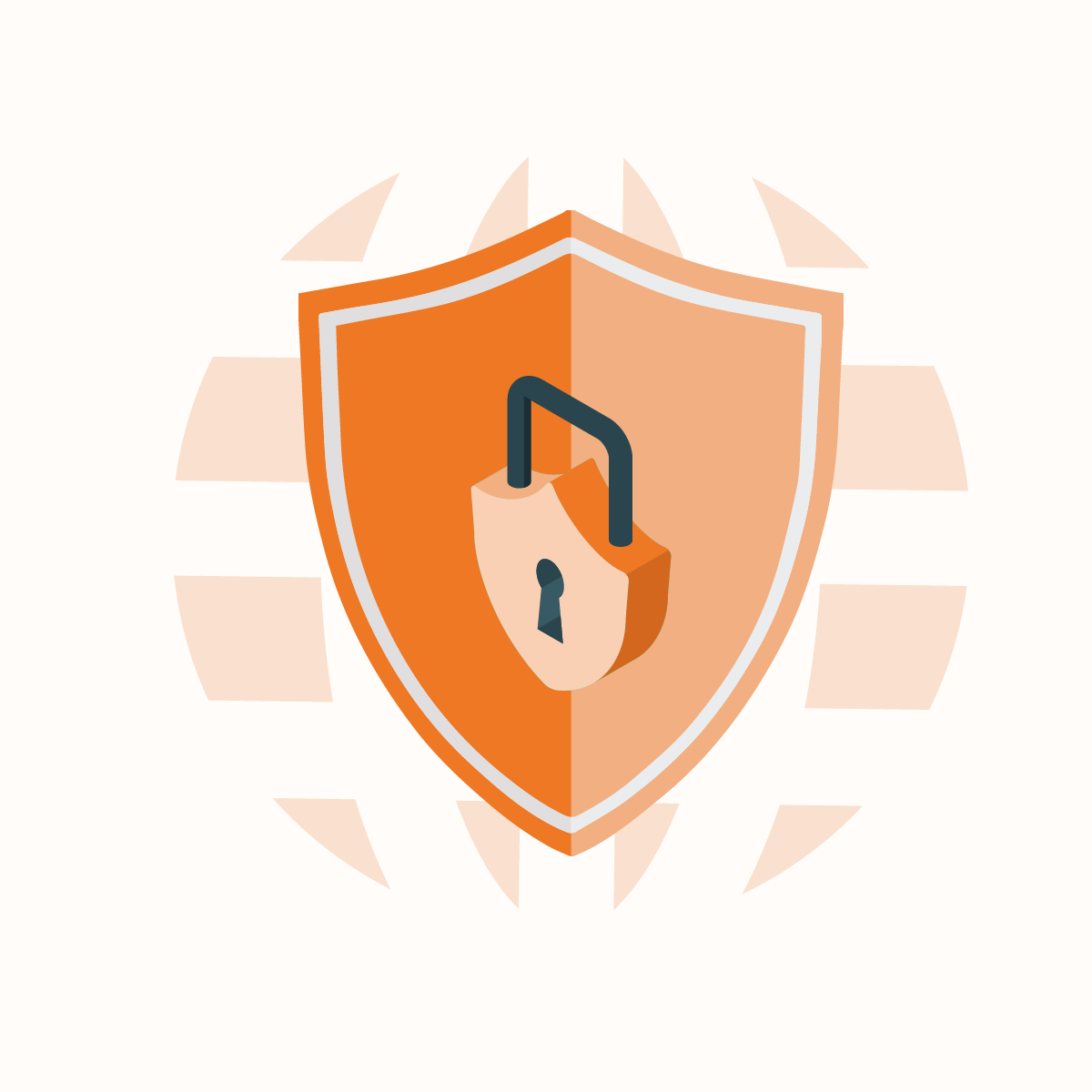 SOCKS5 Proxy: What is it, Benefits, & Functions | Netnut