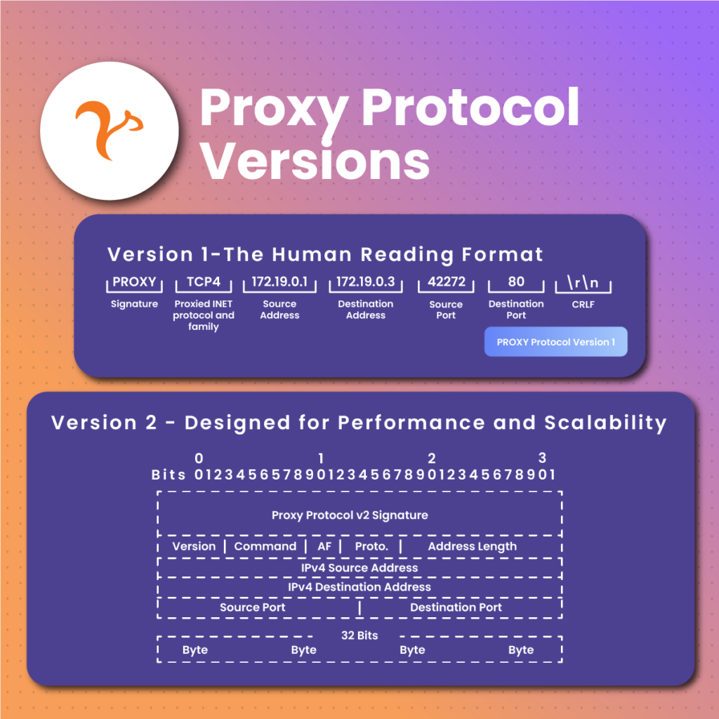 What Is Proxy Protocol: How To Use & Different Types | NetNut